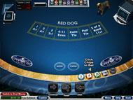 Enjoy Red Dog With a $100 Free Chip at CoolCat Casino