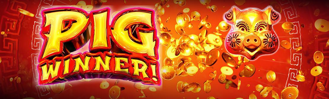 Pig Winner - Coolcat-Casino